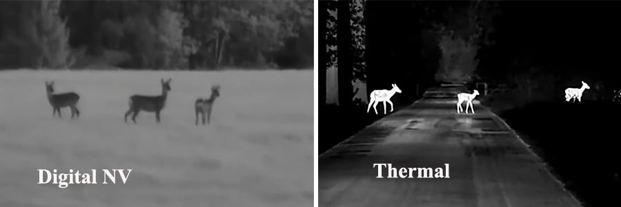 Thermal Optics vs Night Vision: What’s the Difference & Why the Therma